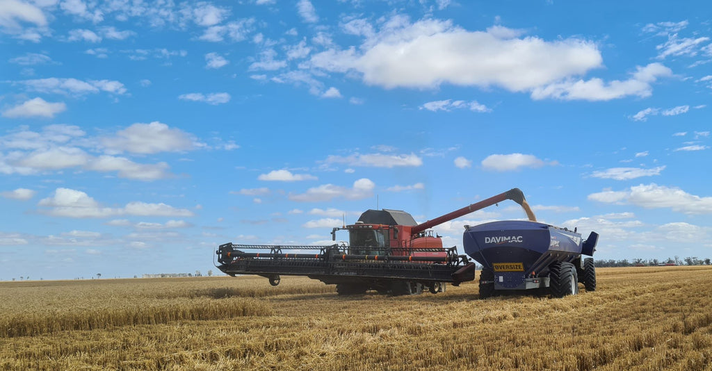 Australian Made for a Better Harvest – Davimac Chaser Bins