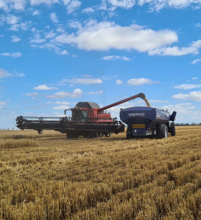 Australian Made for a Better Harvest – Davimac Chaser Bins